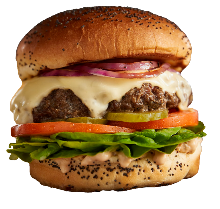 Hamburger PNG Transparent Images Free Download - Pngfre