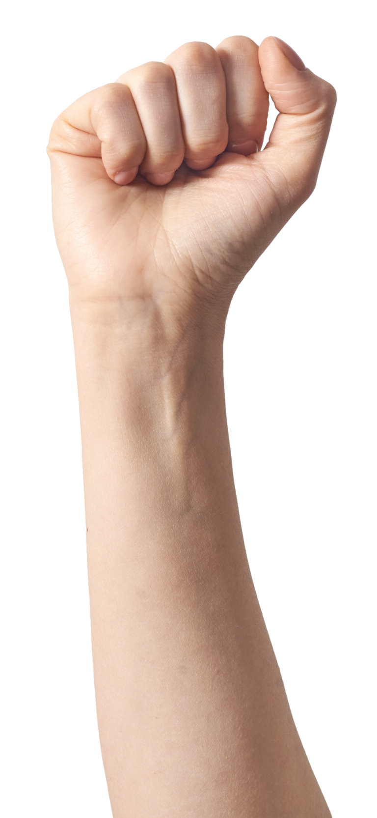 Hand PNG Images free Download - Pngfre