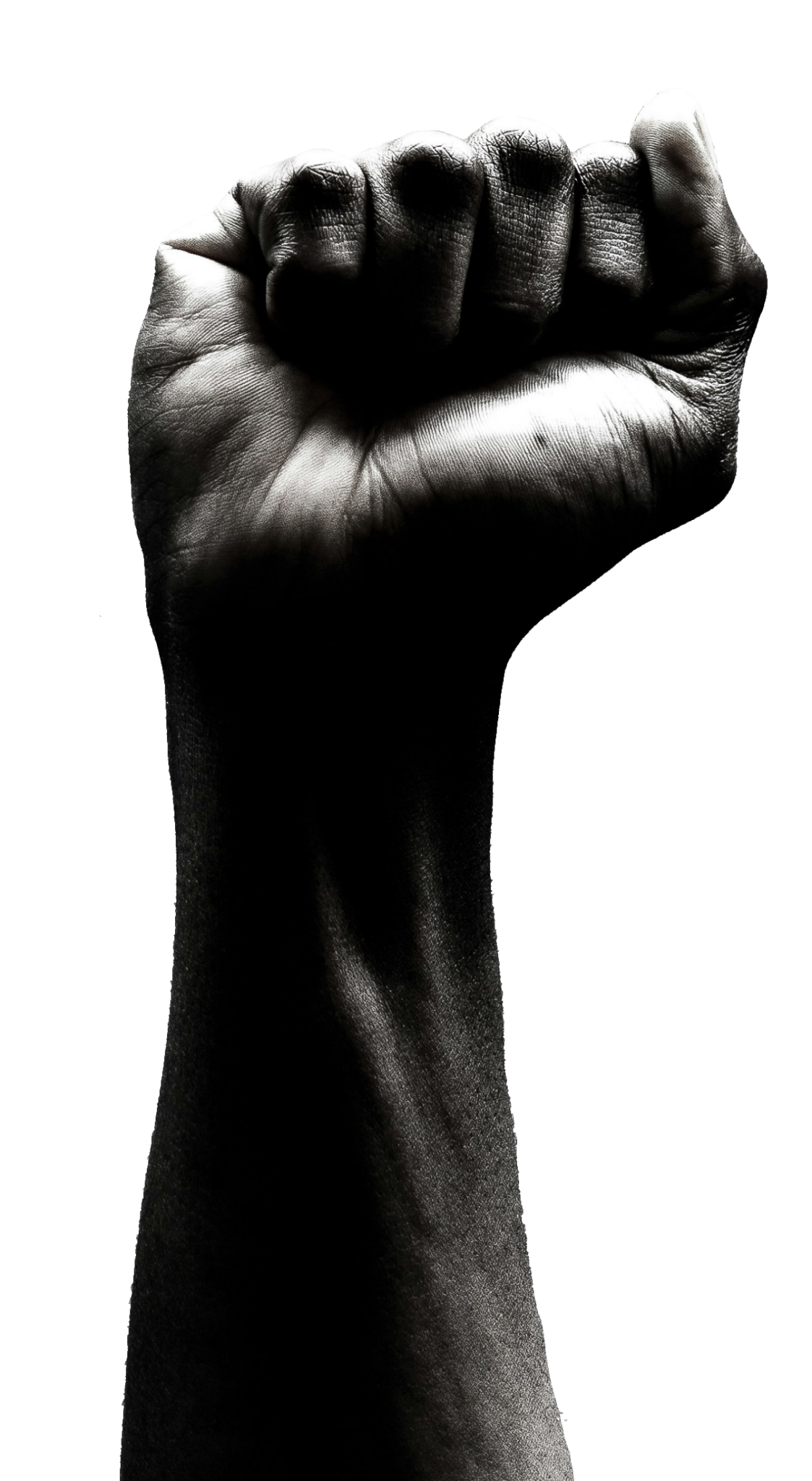 Hand PNG Images free Download - Pngfre