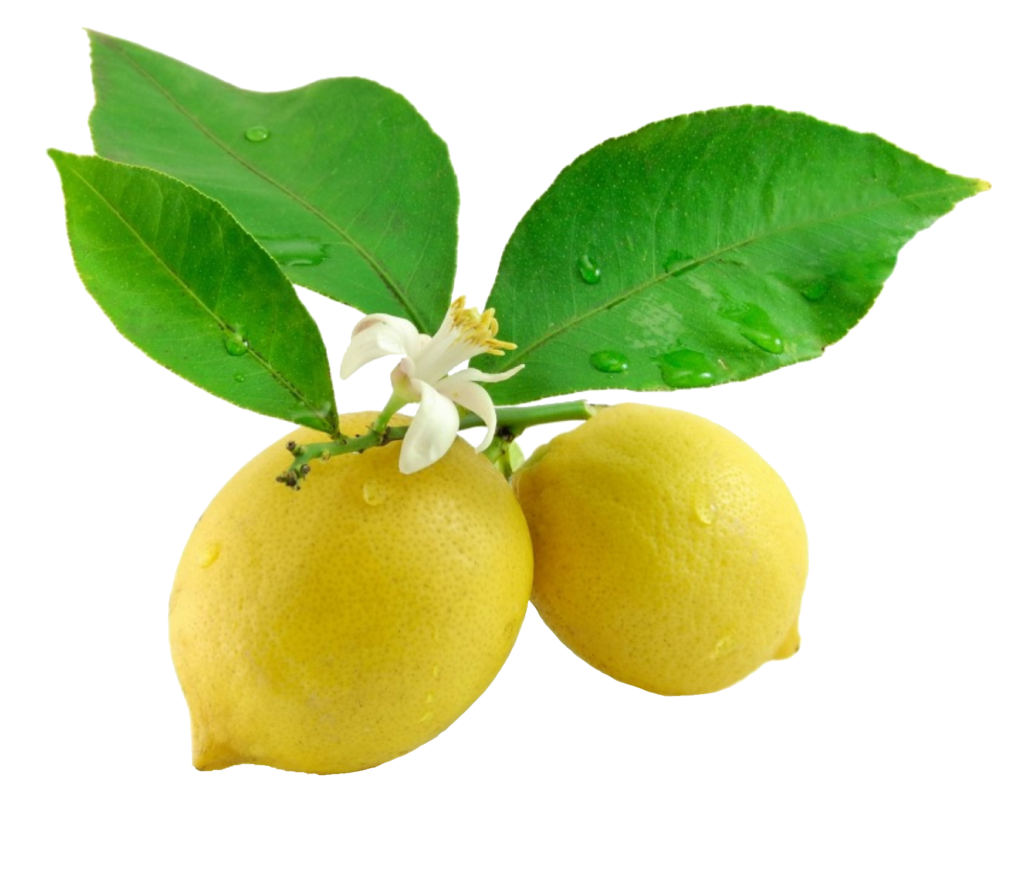 Lemon PNG Transparent Images Free Download - Pngfre