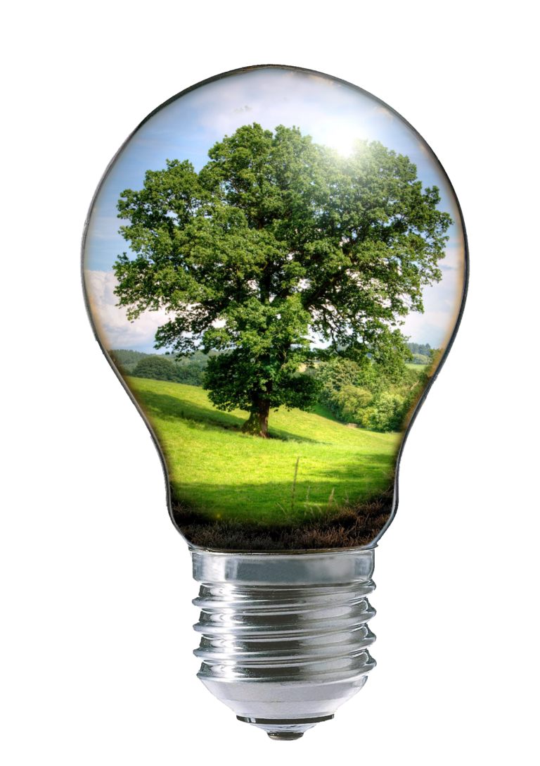 Light Bulb PNG Images Free Download - Pngfre