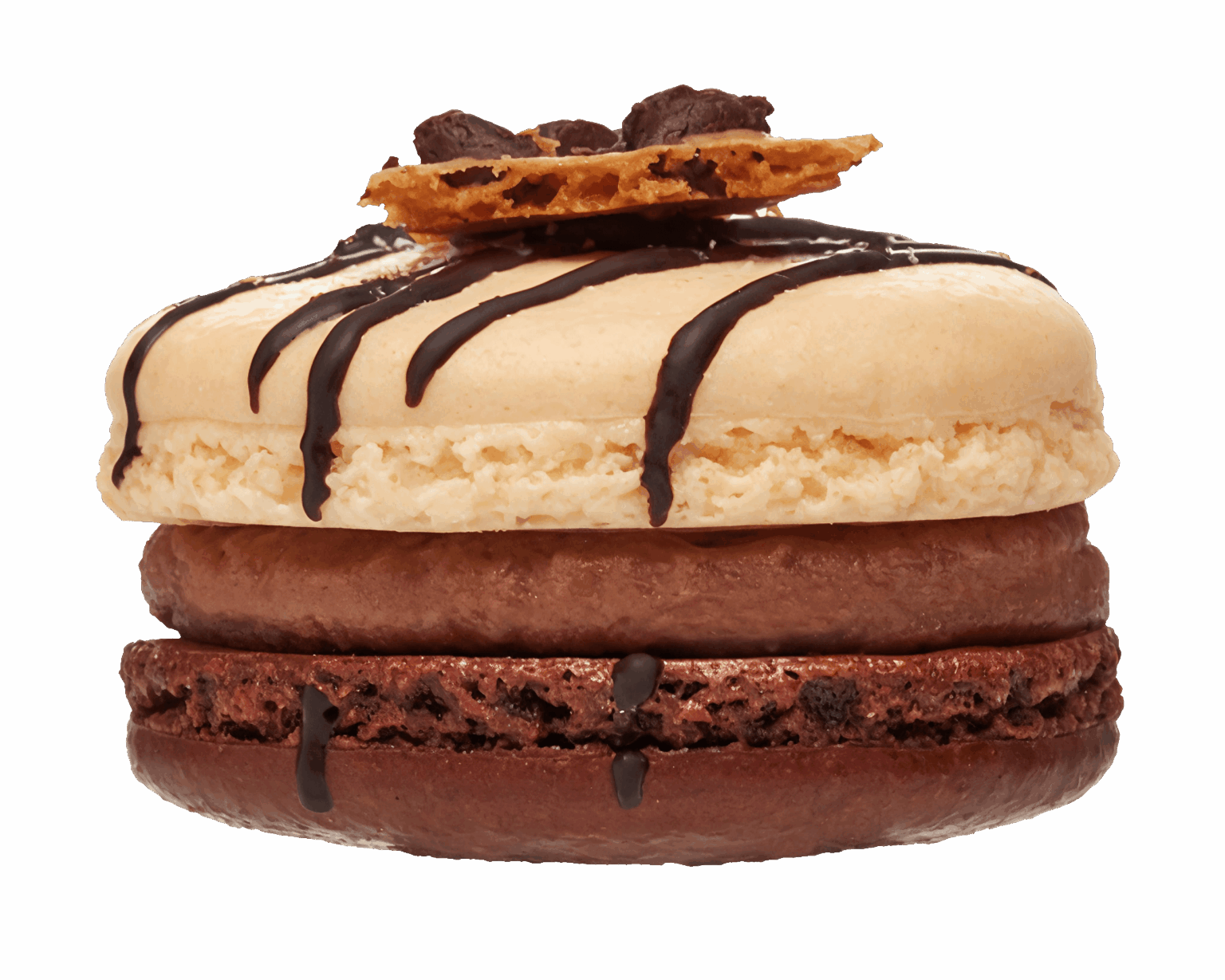 Macaron PNG images free download - Pngfre