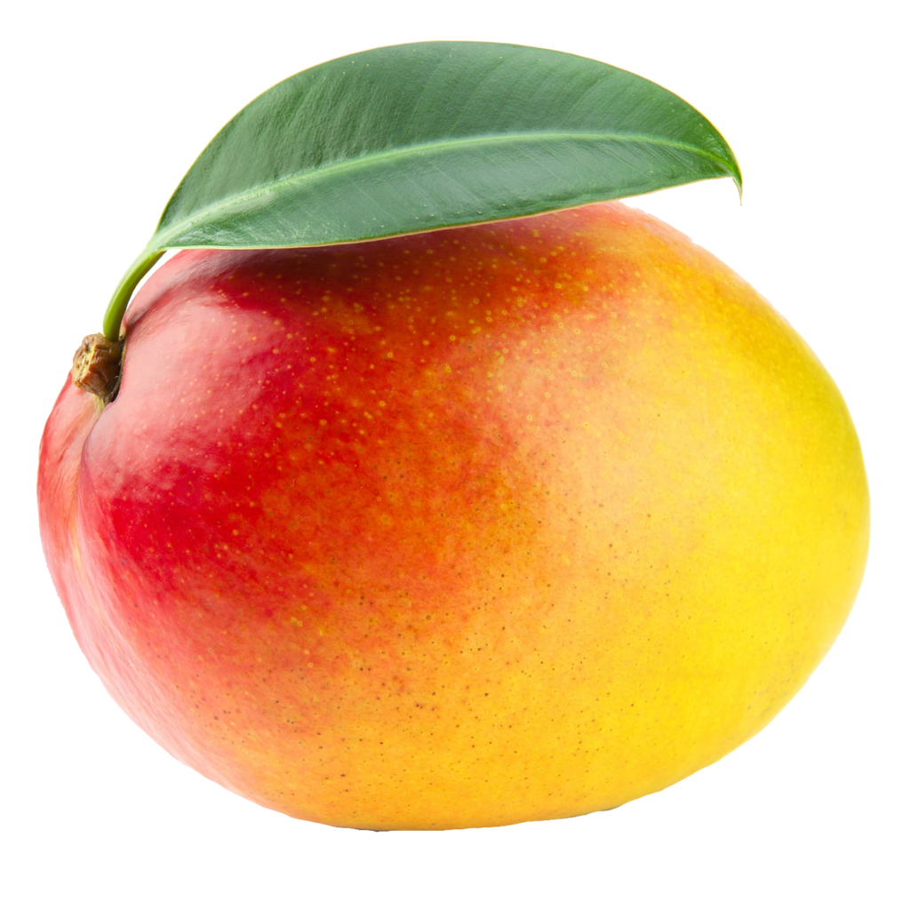 Mango PNG Images free Download - Pngfre