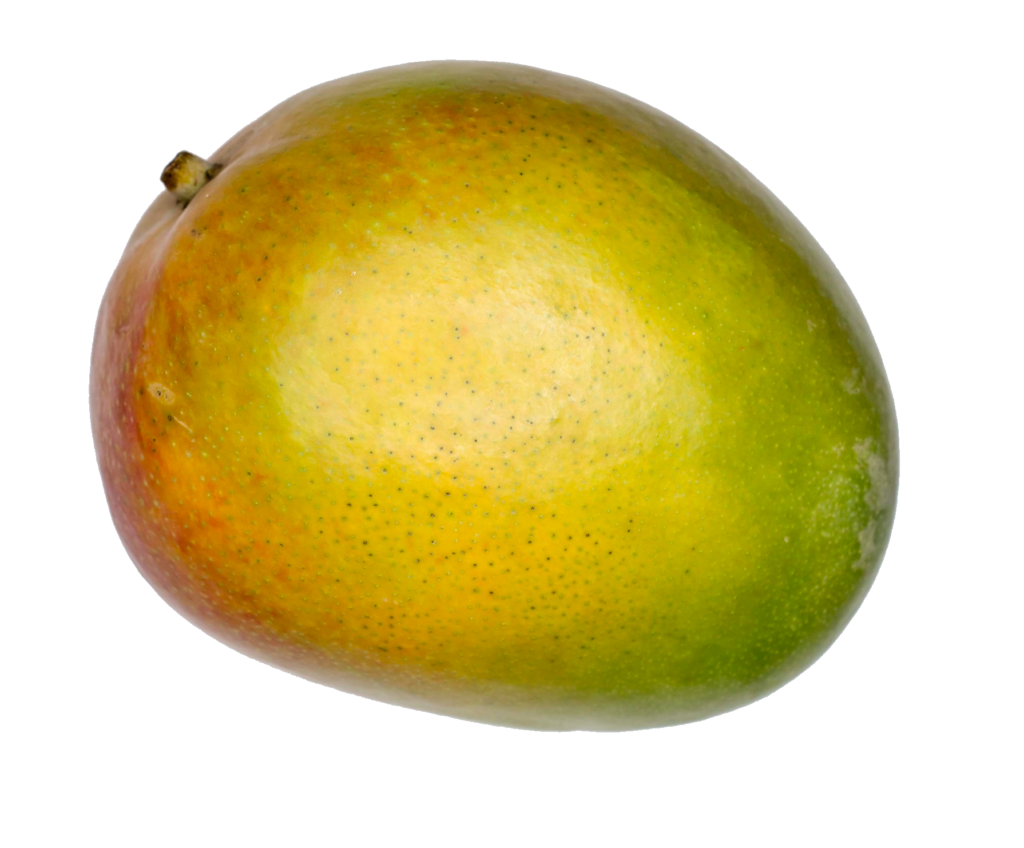 Mango PNG Images free Download - Pngfre