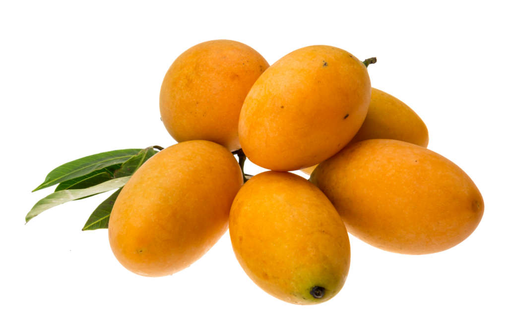 Mango PNG Images free Download - Pngfre
