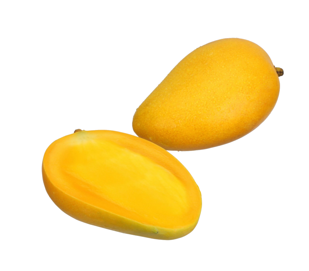 Mango PNG Images free Download - Pngfre