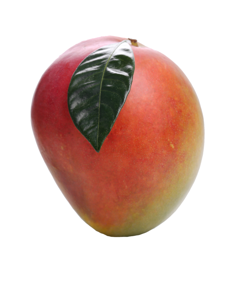 Mango PNG Images free Download - Pngfre