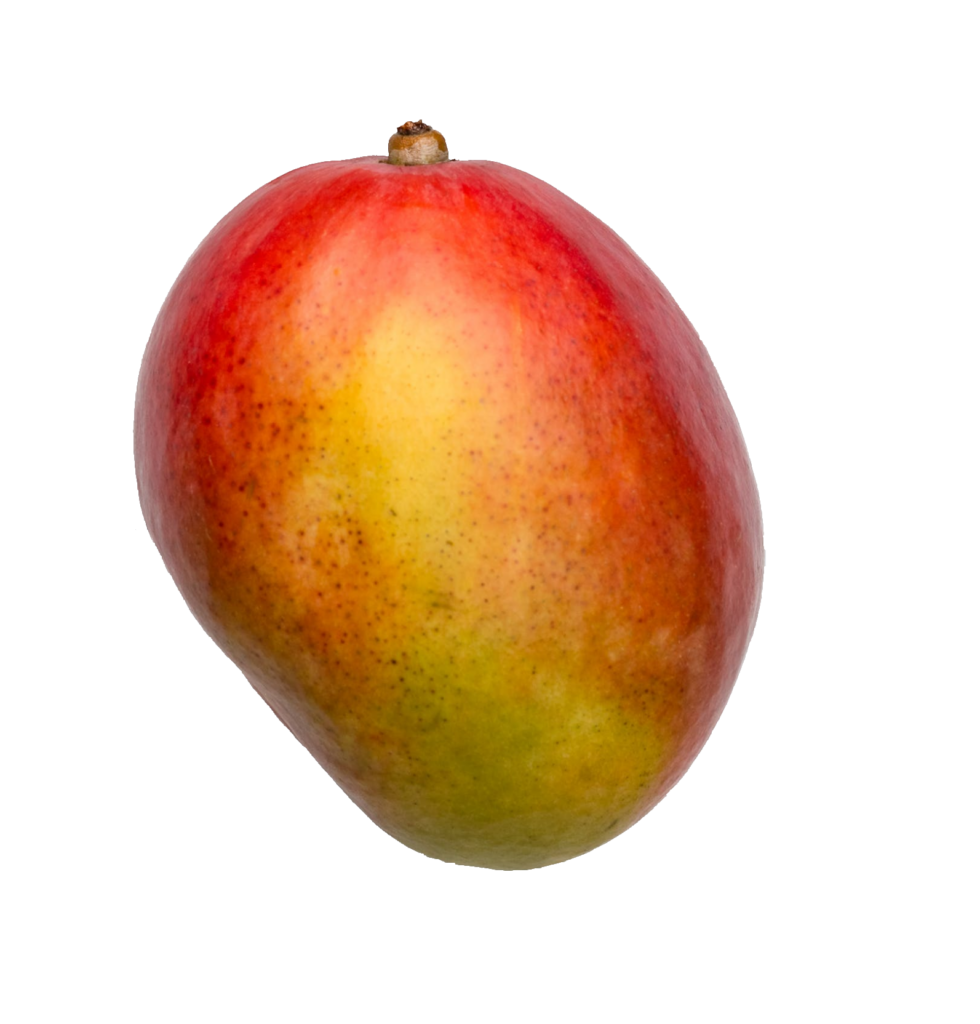 Mango PNG Images free Download - Pngfre