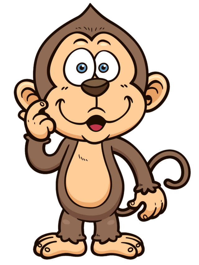 Monkey PNG Transparent Images Free Download - Pngfre