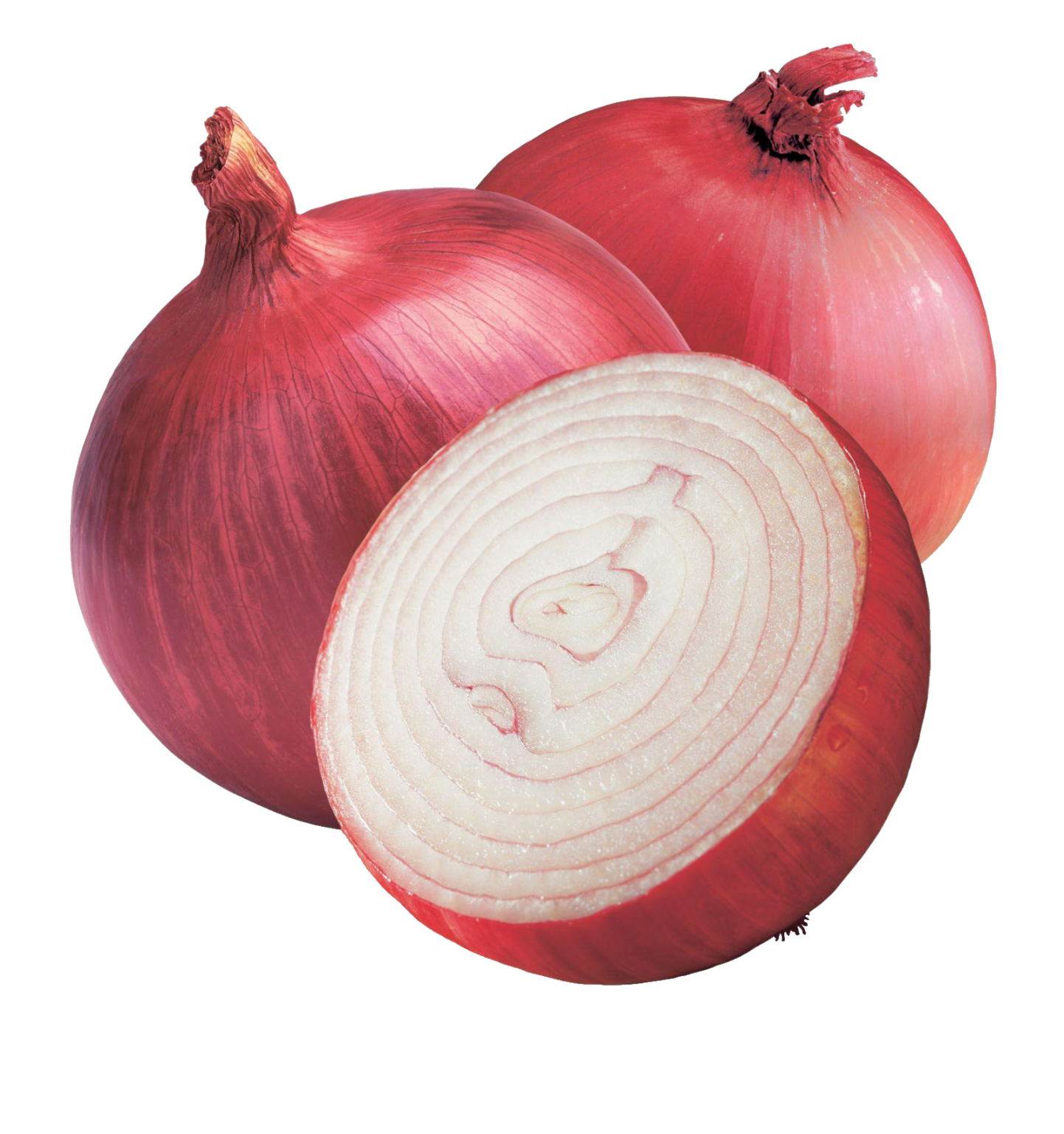 Onion PNG Transparent Images Free Download - Pngfre