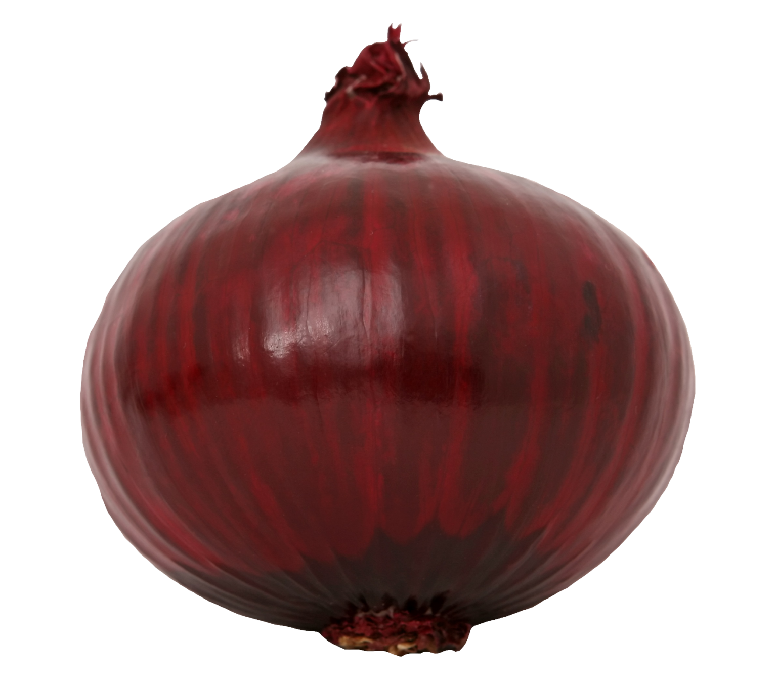 Onion PNG Transparent Images Free Download - Pngfre