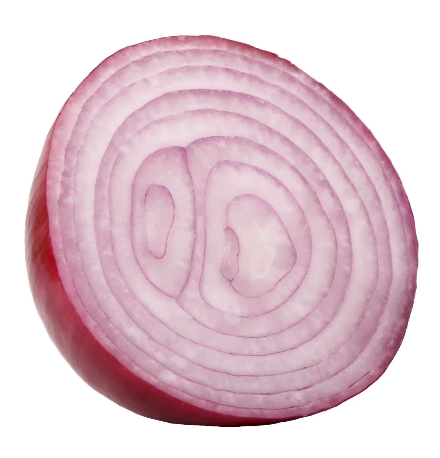 Onion PNG Transparent Images Free Download - Pngfre