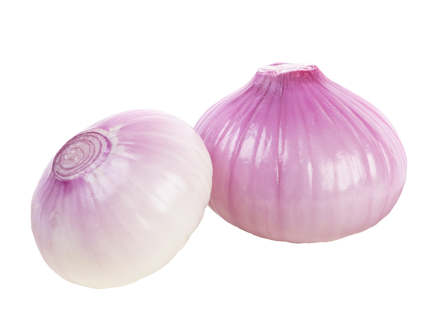 Onion PNG Transparent Images Free Download - Pngfre