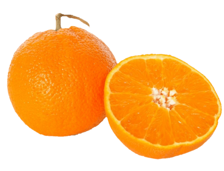 Orange PNG Images Free Download - Pngfre