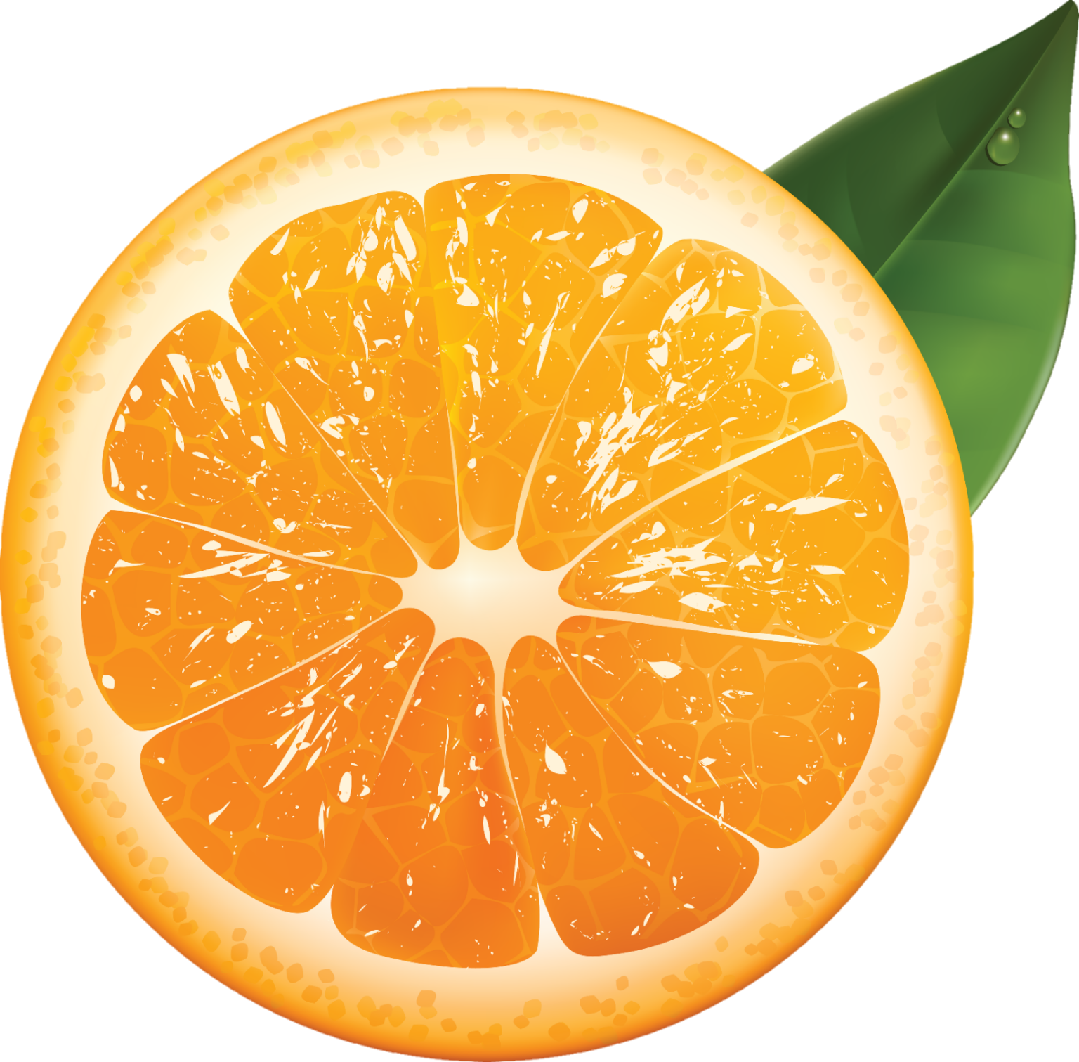 Orange PNG Images Free Download - Pngfre