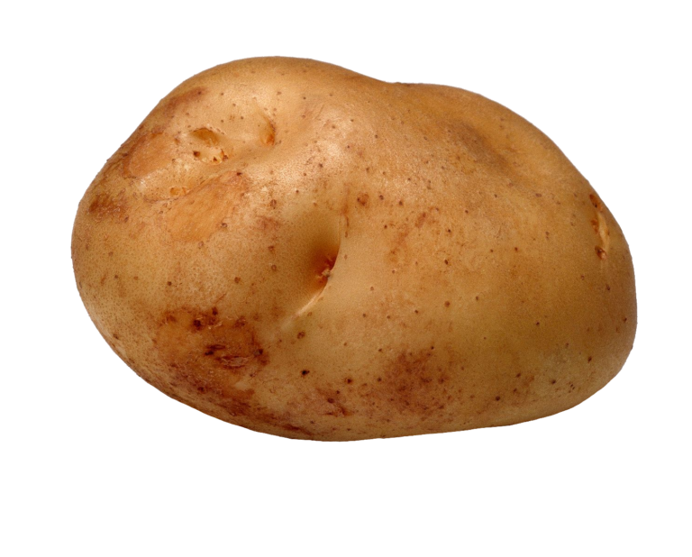 Potato PNG Images free Download - Pngfre