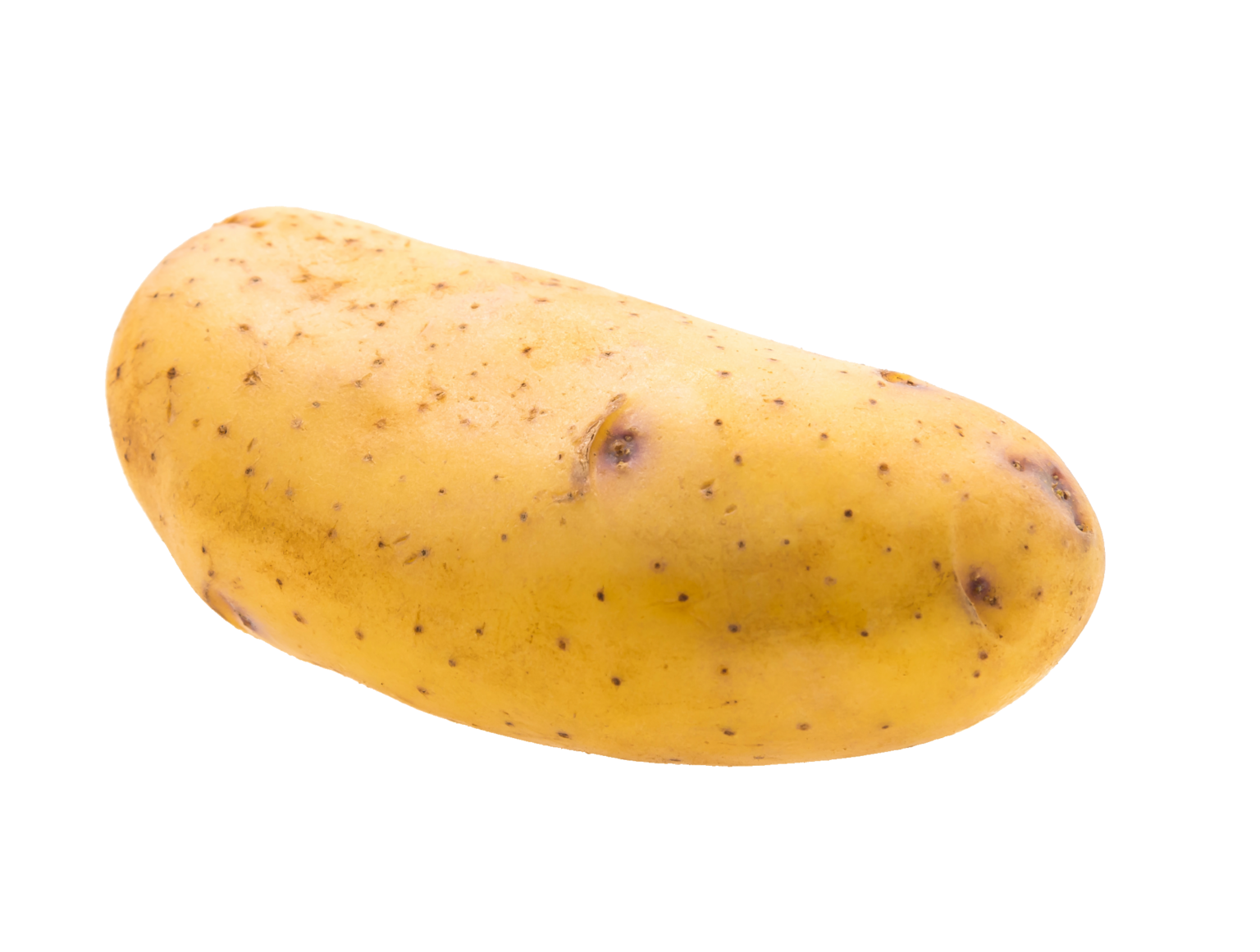 Potato PNG Images free Download - Pngfre