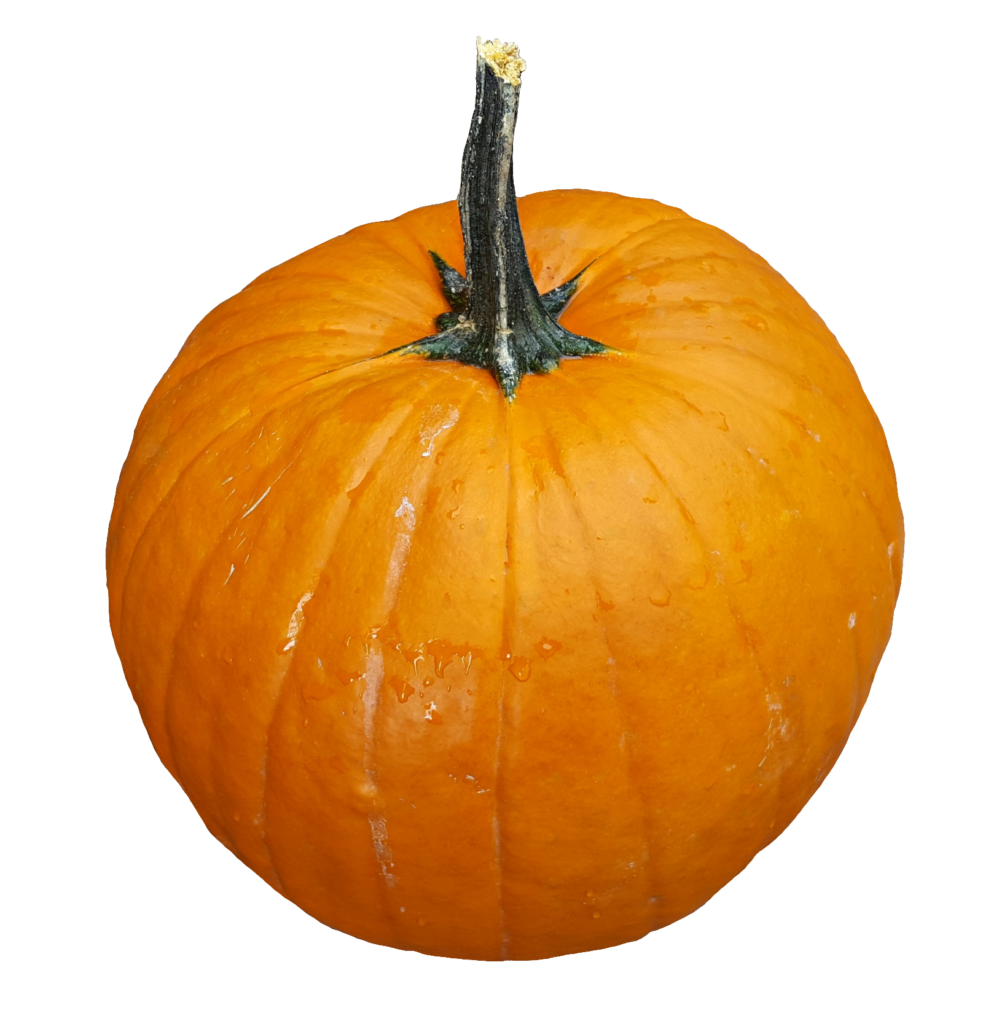 Pumpkin PNG Transparent Images Free Download - Pngfre