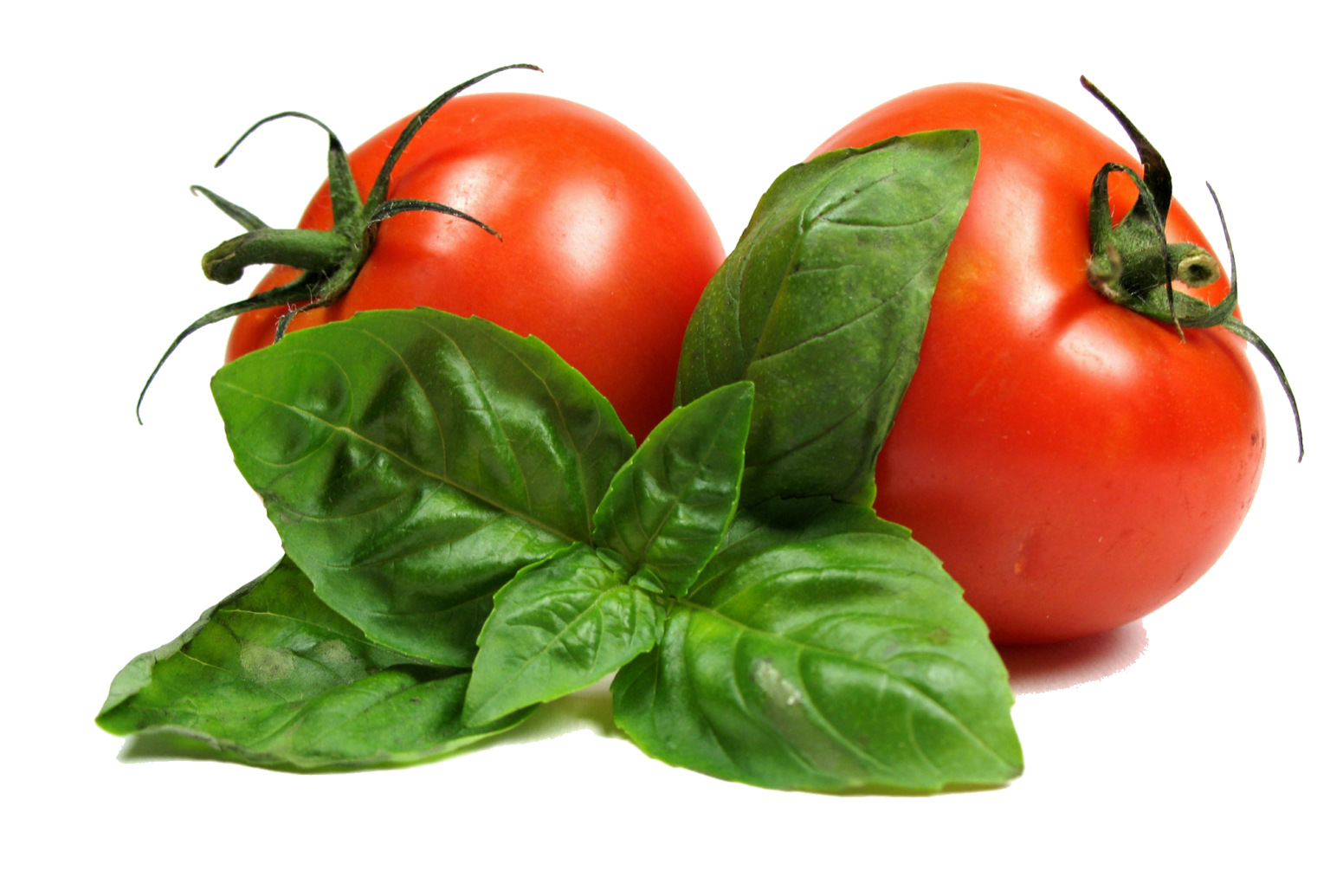Tomato PNG Transparent Images Free Download - Pngfre