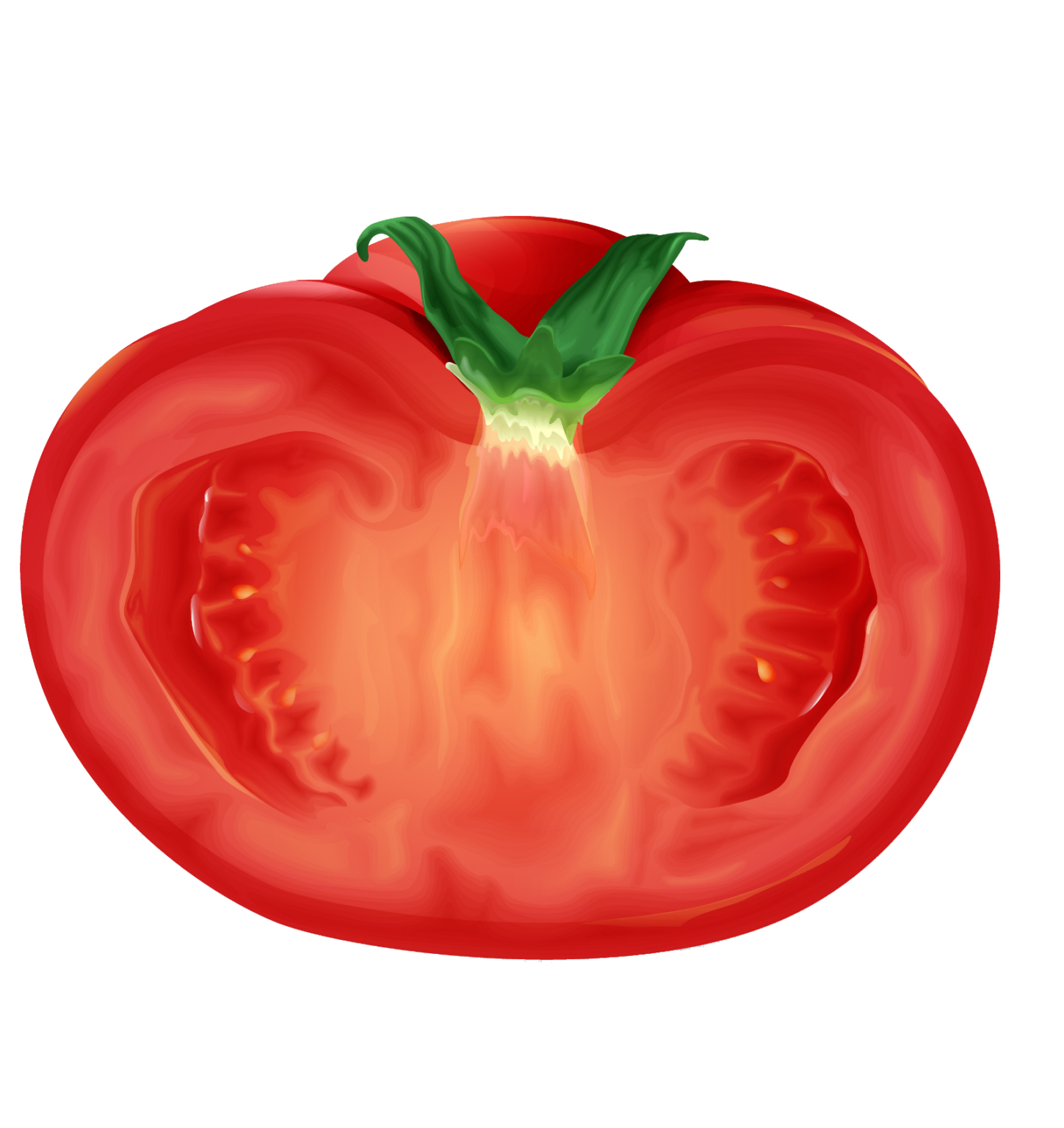 Tomato PNG Transparent Images Free Download - Pngfre
