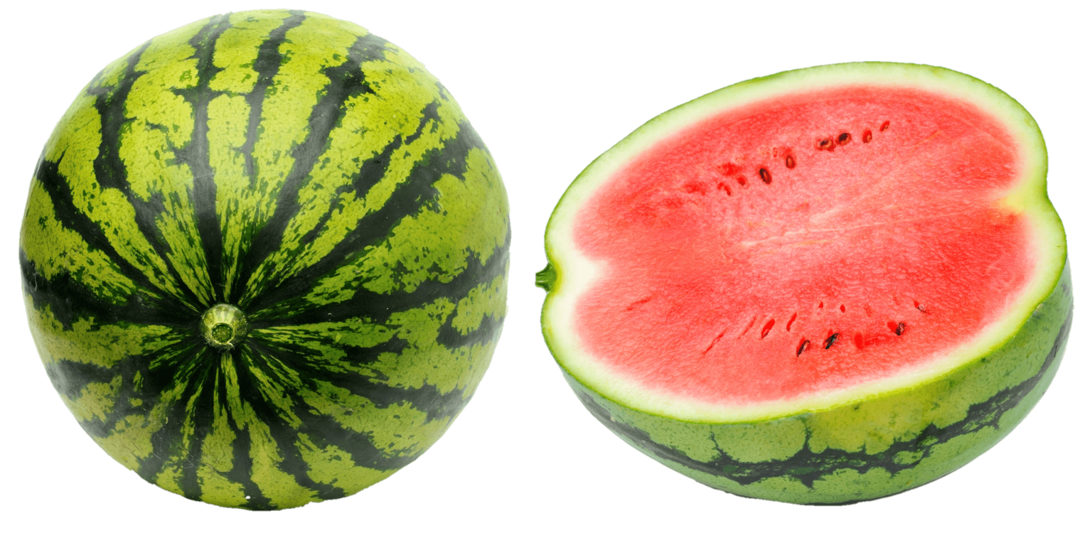 Watermelon PNG Transparent Images Free Download - Pngfre