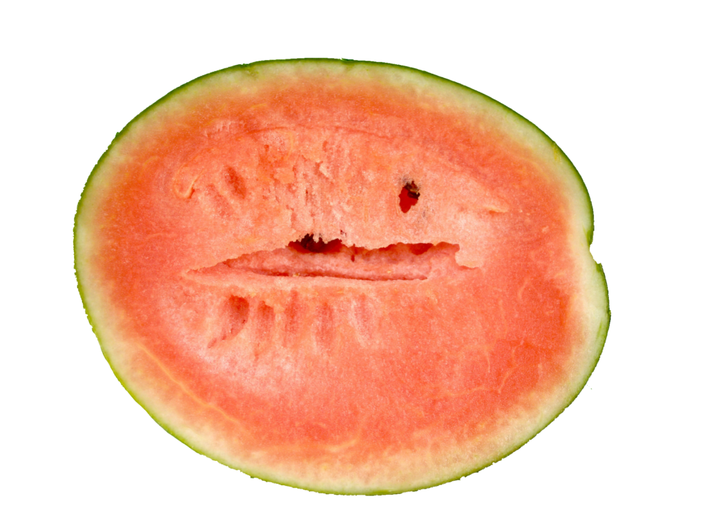 Watermelon PNG Transparent Images Free Download - Pngfre