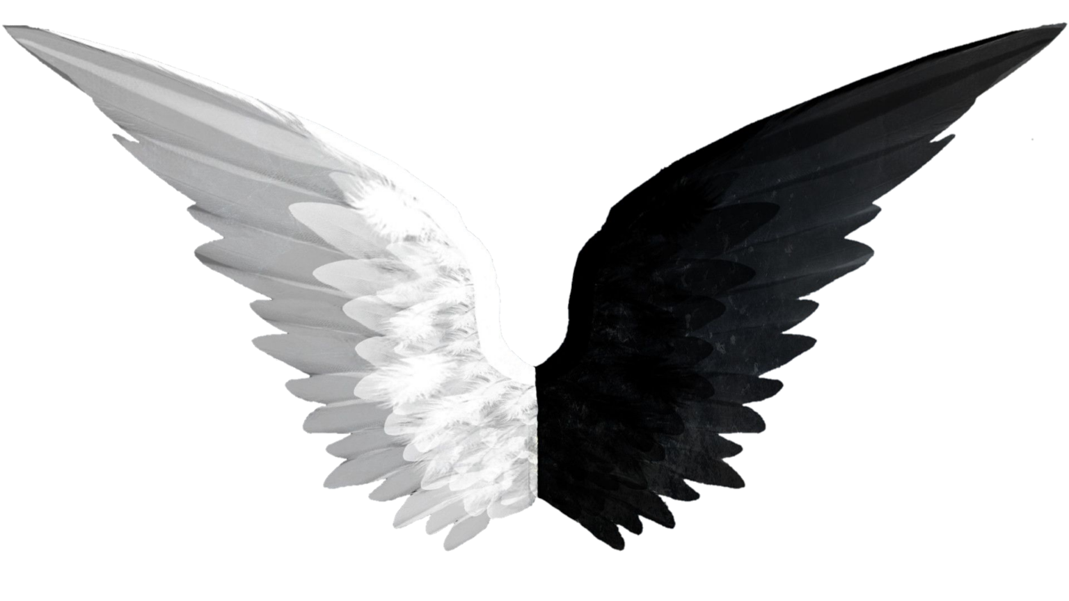 Wings PNG Transparent Images Free Download - Pngfre